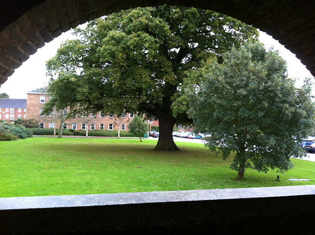 Through the Arched Window - County Hall, Exeter | suet | Blipfoto