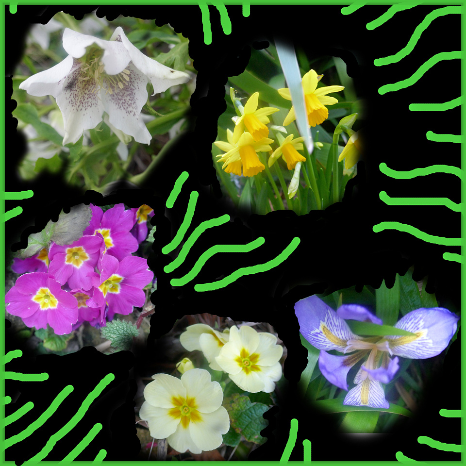 In the garden | PicturePoems | Blipfoto