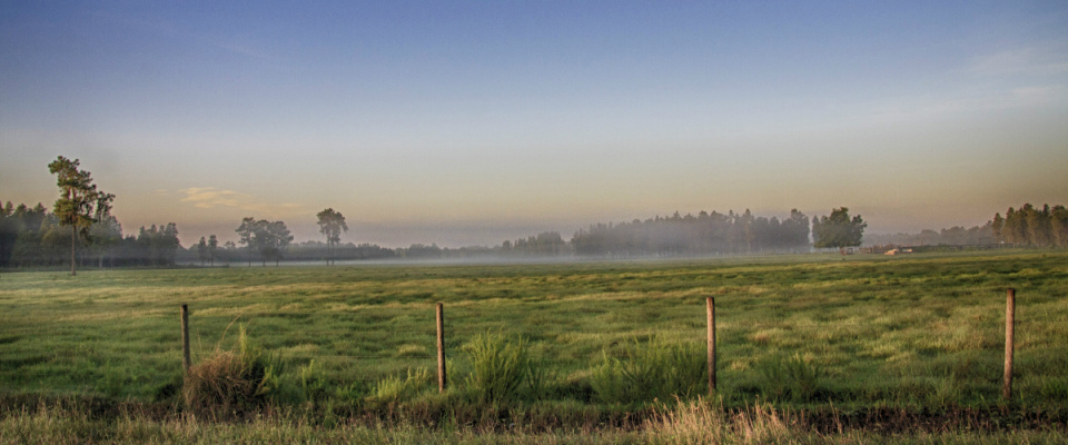 Colorful Morning | bugsman | Blipfoto