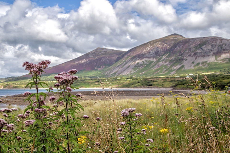 What a difference a day makes… | Damnonii | Blipfoto