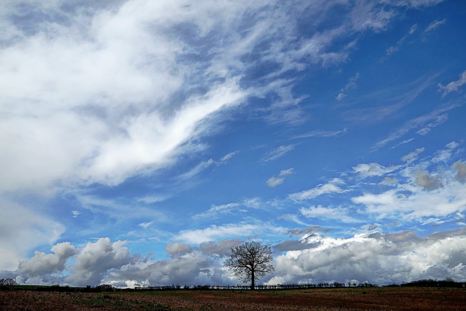 Blue & White | BobsBlips | Blipfoto