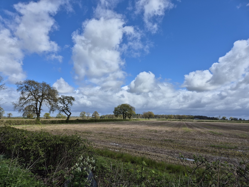 Beautiful Staffordshire | orchid99 | Blipfoto