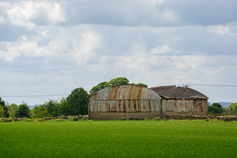 Bird life in fields near the derelict barn | CleanSteve | Blipfoto