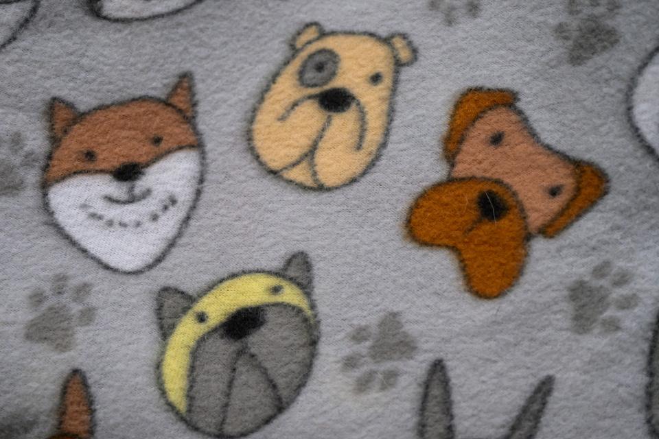 Public Service Announcement | dbifulco | Blipfoto