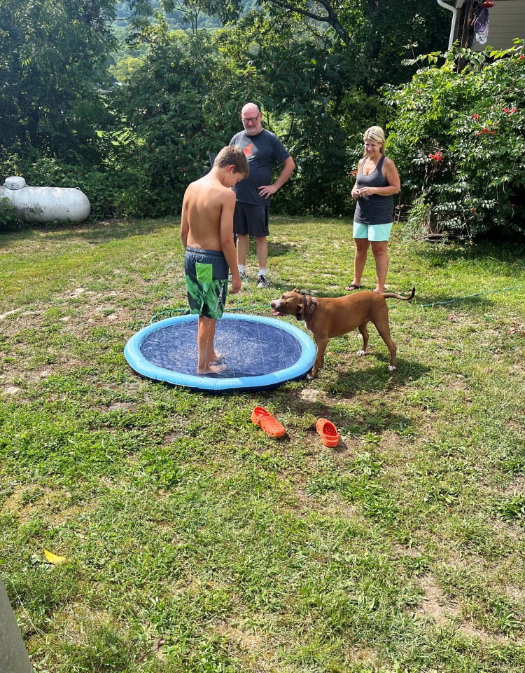 Rosie's Swimming Pool | TurtleBug | Blipfoto