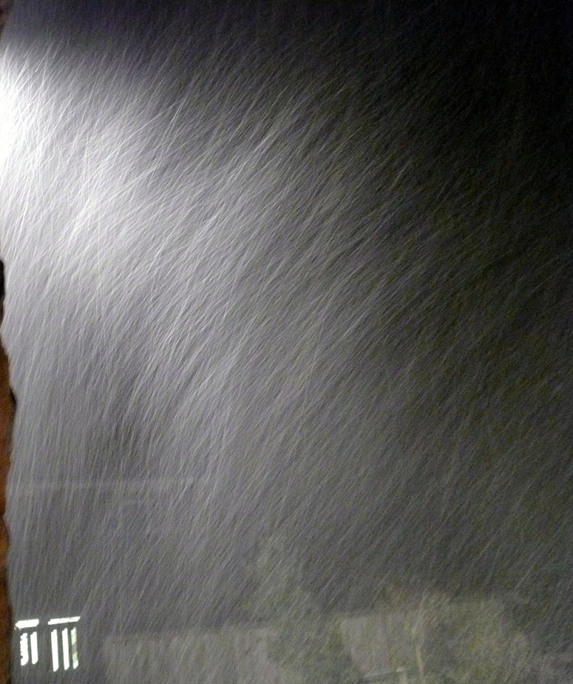 HERE COMES THE SNOW AGAIN | MsGable | Blipfoto