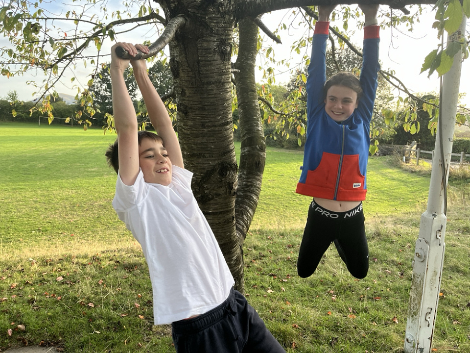 Swinging through Monday | emilyf | Blipfoto