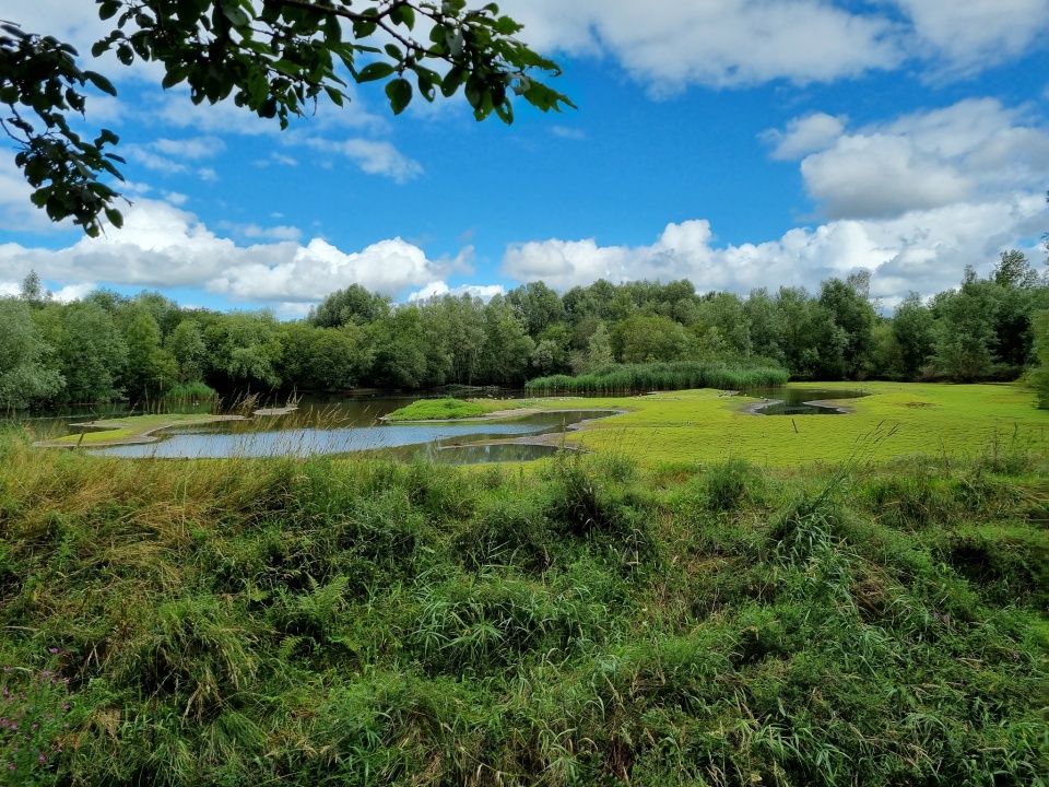 Pennington Flash Country Park | MarilynParker | Blipfoto