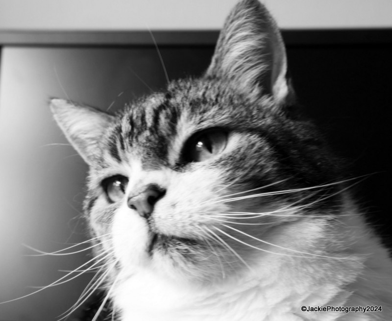 Moody | ThingsBeautiful | Blipfoto