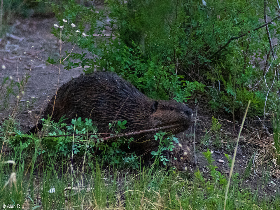 Gotcha! | JohnEdward | Blipfoto