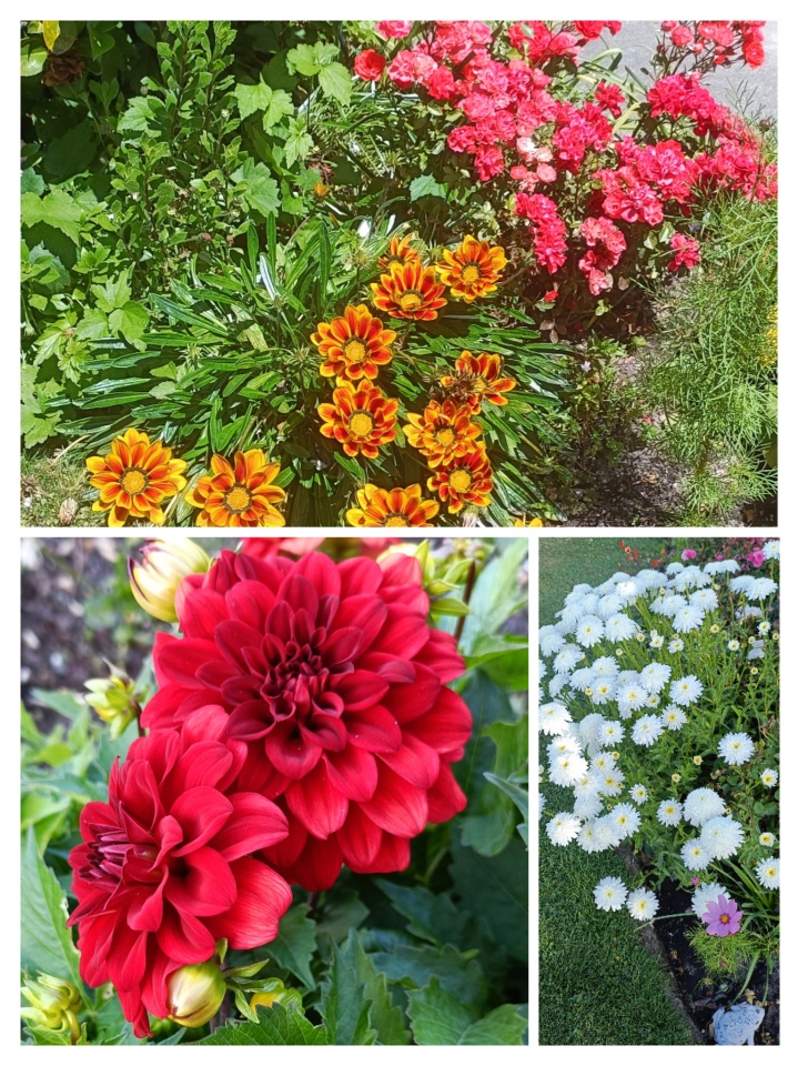 Many Colours | JMK | Blipfoto