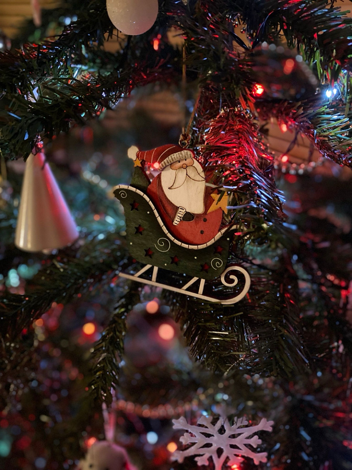 The Tree is up | Danksound | Blipfoto