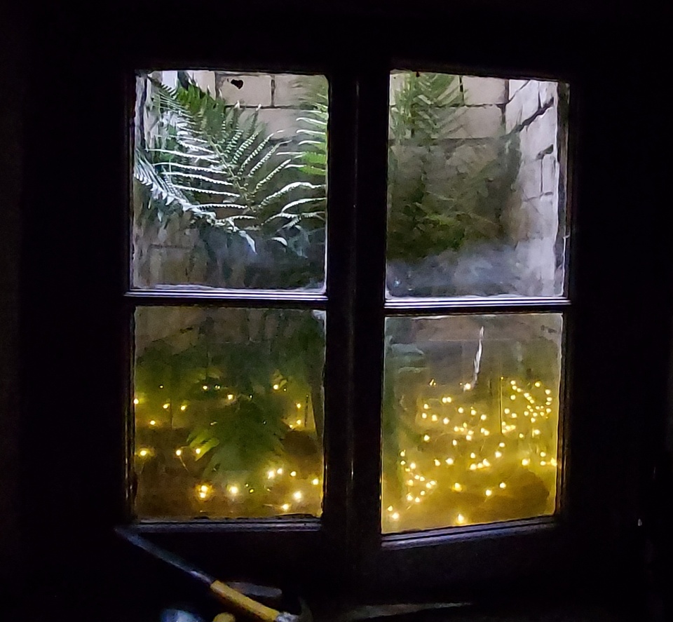 Firefly cellar window well | MarkusMeerkat | Blipfoto