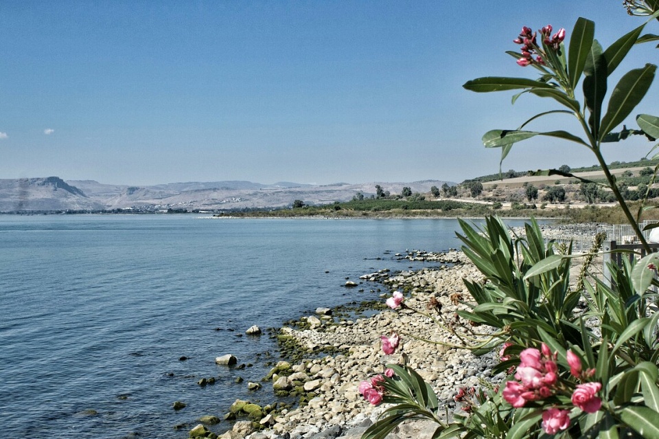 The Seashore from Capernaum | DNWinterburn | Blipfoto