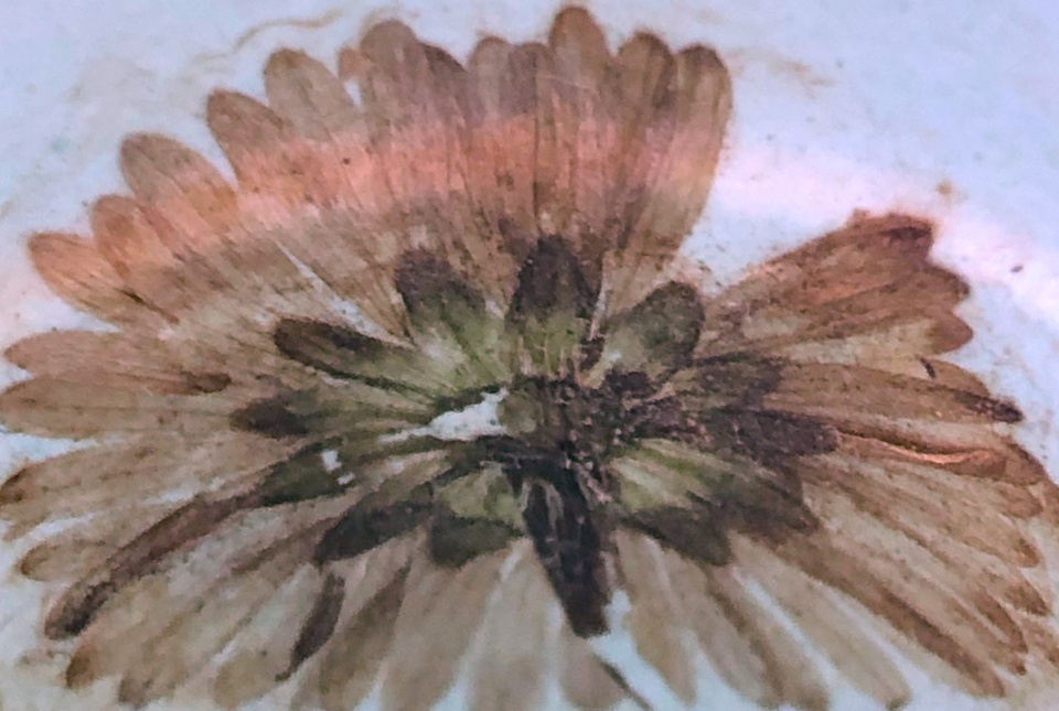 Natural.... | pkln | Blipfoto