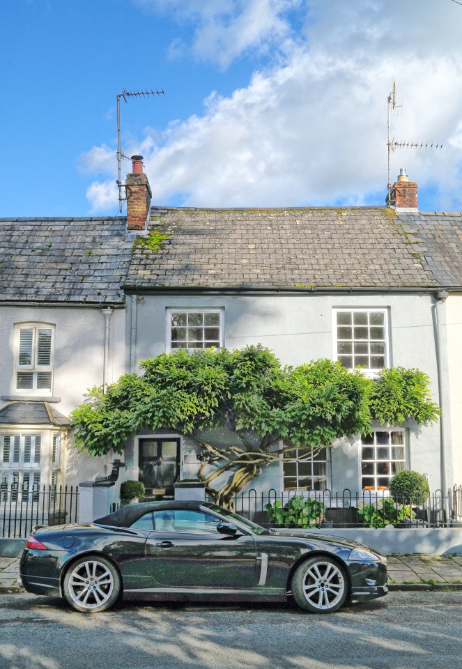 Making The Most | BobsBlips | Blipfoto