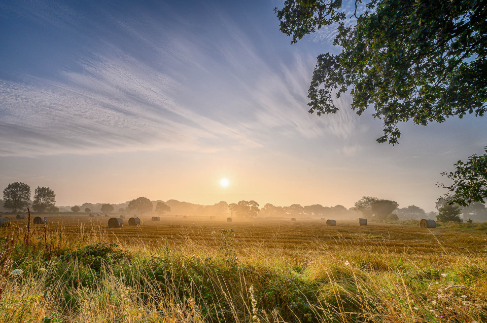 Harvest Sunrise - Fishley | GrahamColling | Blipfoto