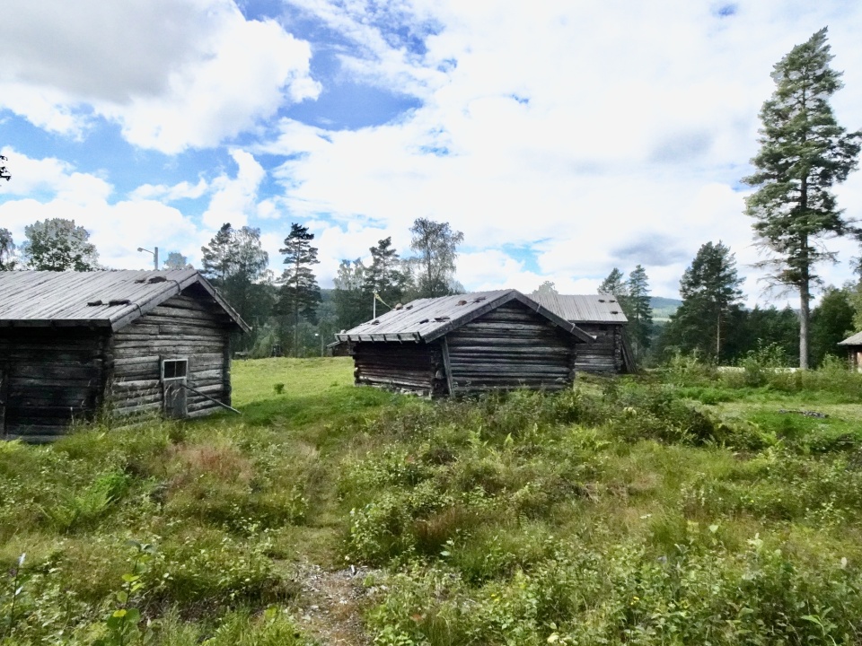 Forest Finns | heanku | Blipfoto