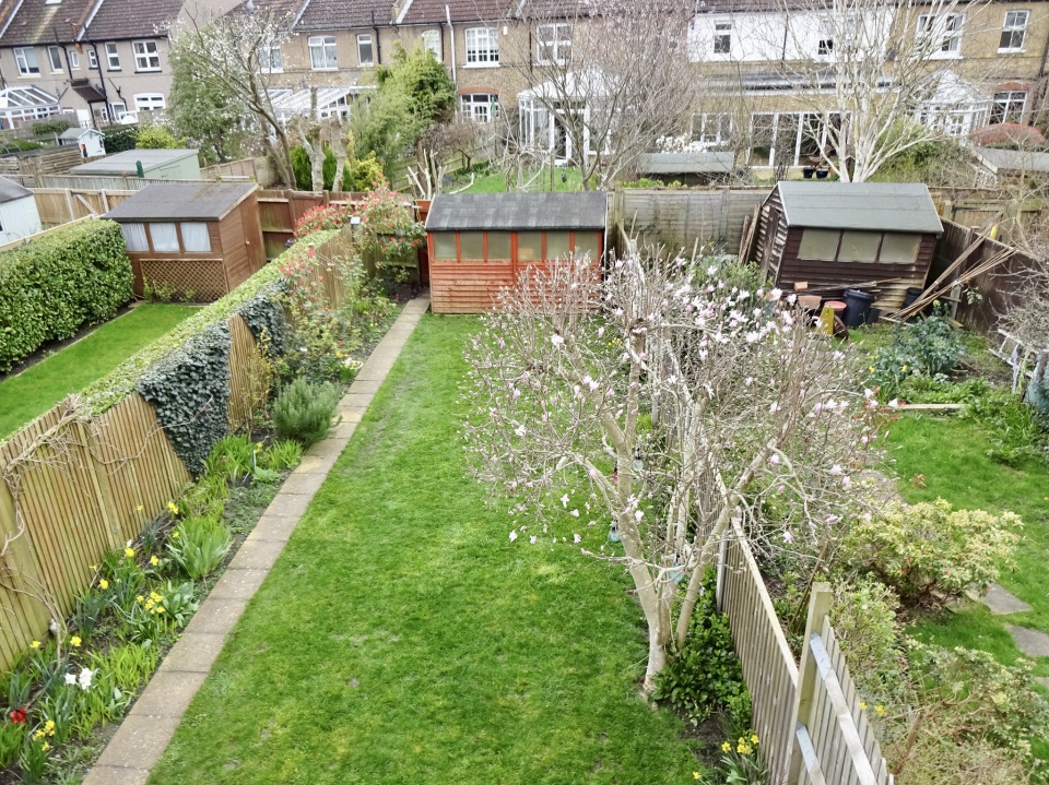 First cut | Emsie | Blipfoto