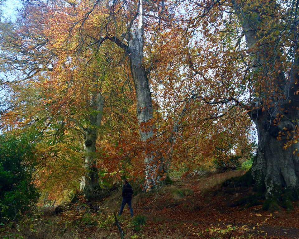 Brahan estate | SunChaser | Blipfoto