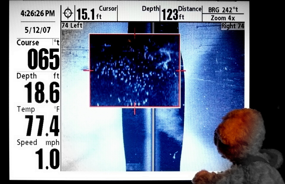 Deep Earth Scan (DES) | LB | Blipfoto