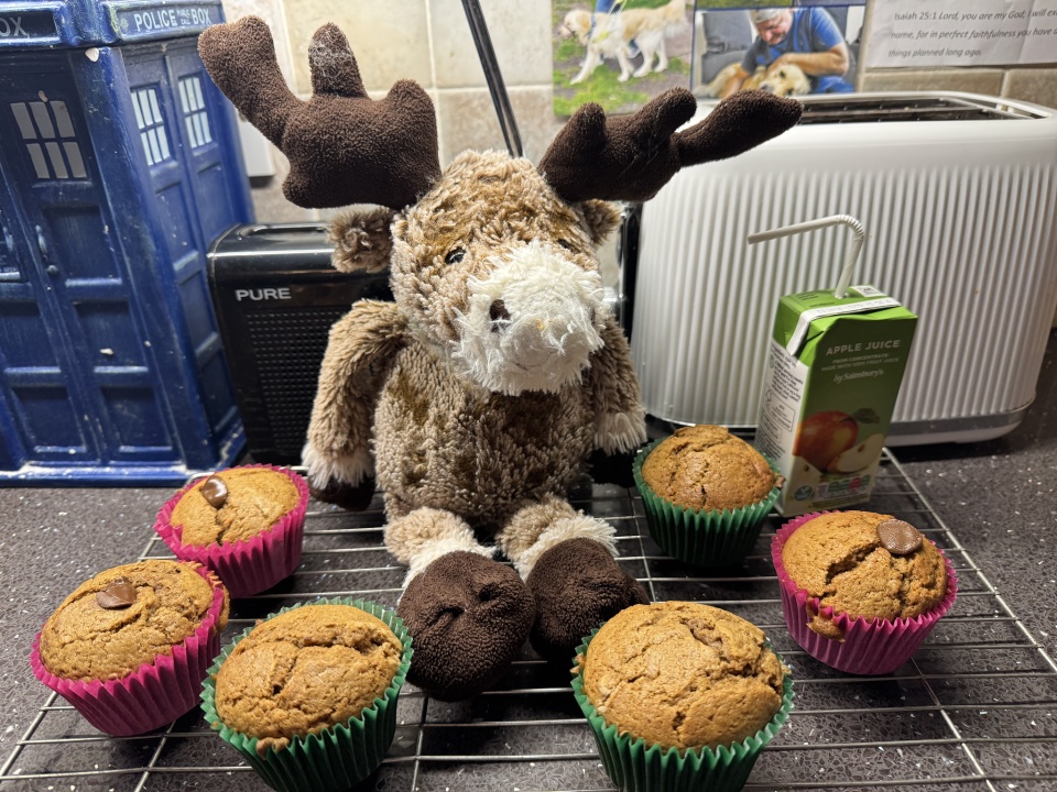 Roger the Reindeer made some muffins today….. | biddy | Blipfoto