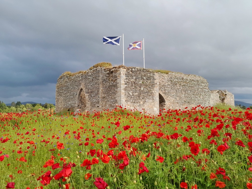 Castle Roy | Greygranite1745 | Blipfoto