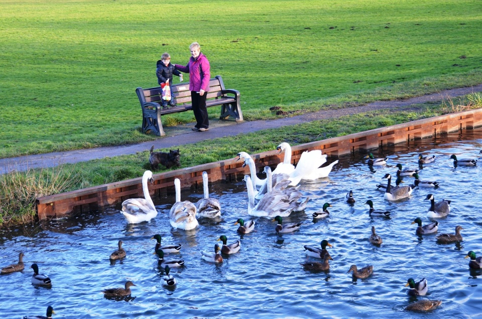 ACTION IN THE RIVER LARK! | lucia13 | Blipfoto