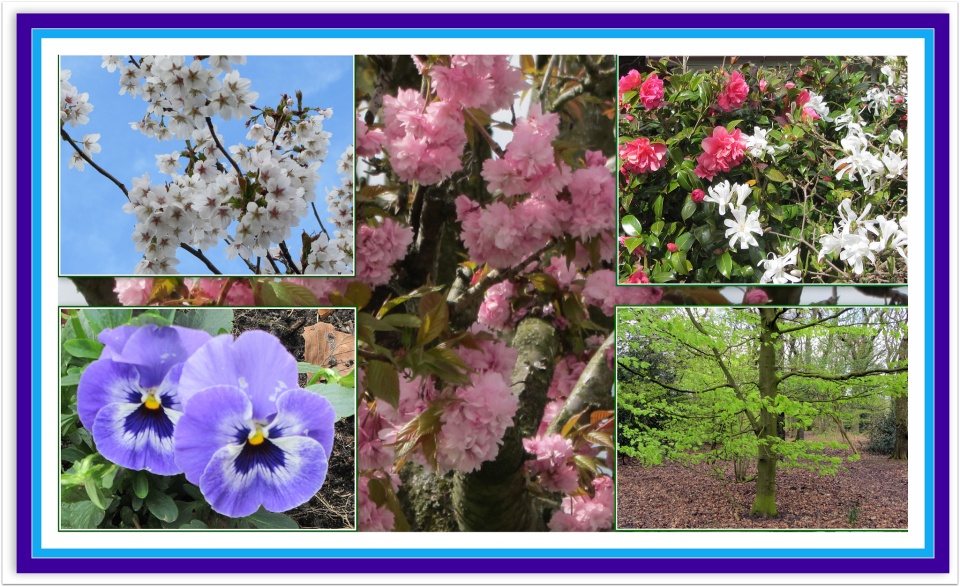 April collage. | Grace55 | Blipfoto