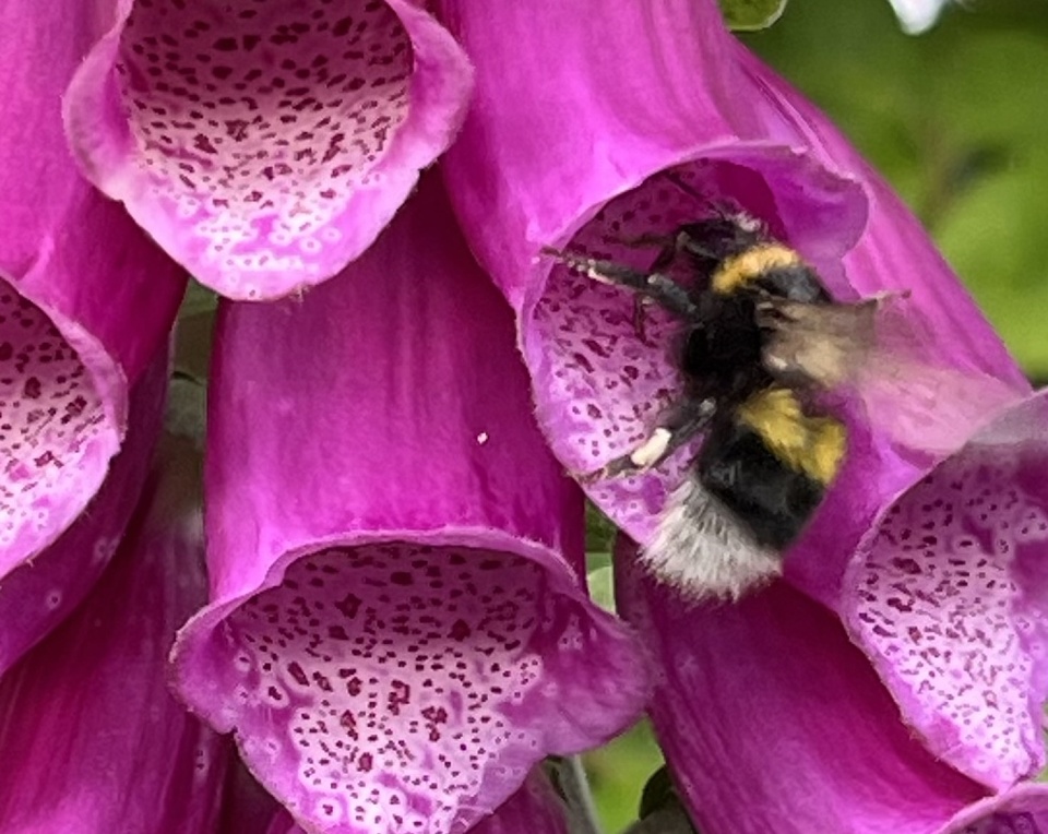 A delicate balance | Libra | Blipfoto