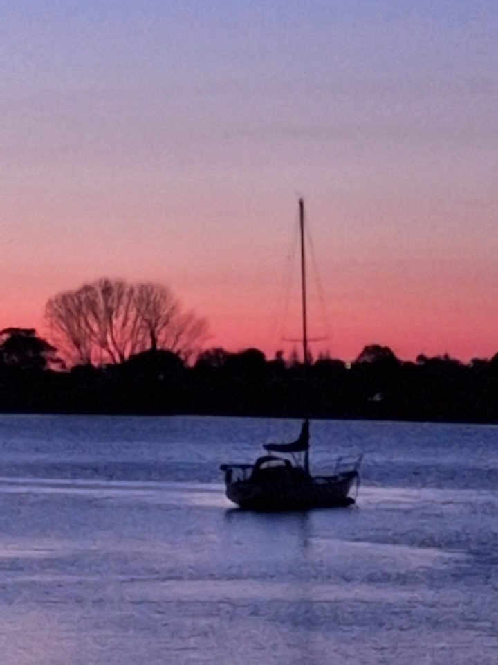 Evening. | tokoroa | Blipfoto