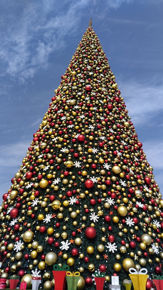 Tallest Christmas Tree | GadgetKid | Blipfoto