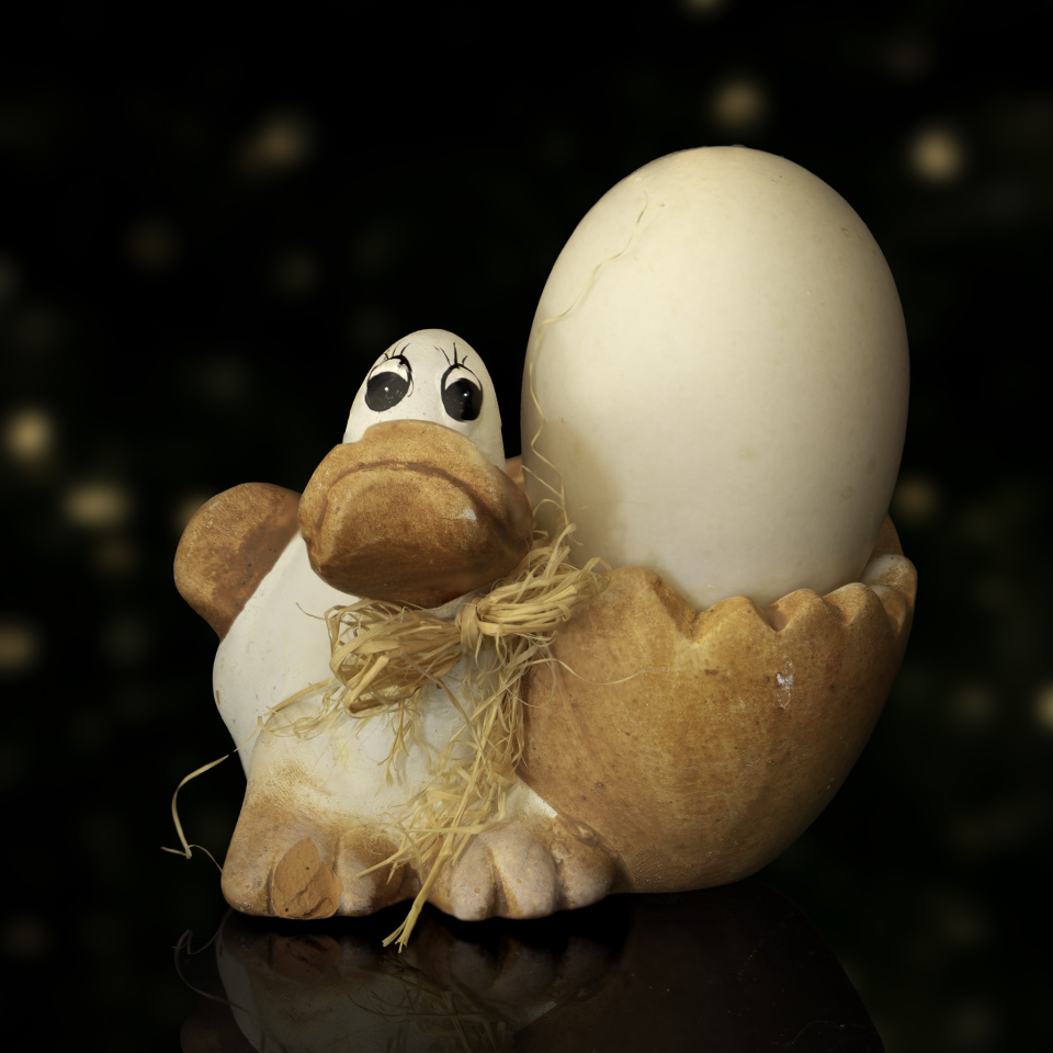 Grumpy Duck | Kwtracey | Blipfoto