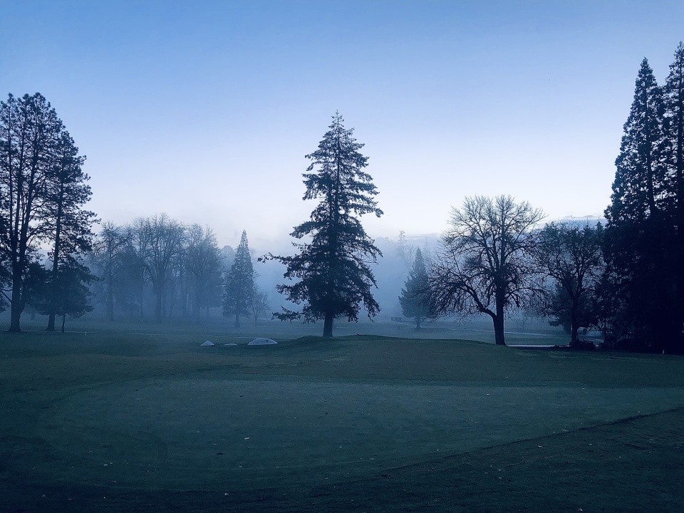 Fog on the Golf Course | seniormoments | Blipfoto