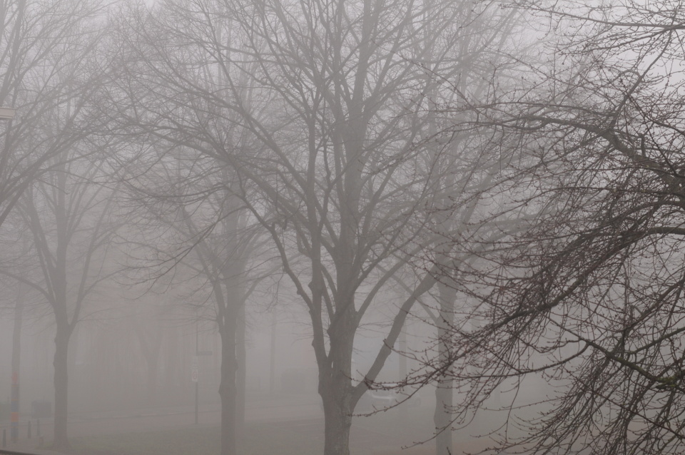 Grey once more | dutchdelight | Blipfoto