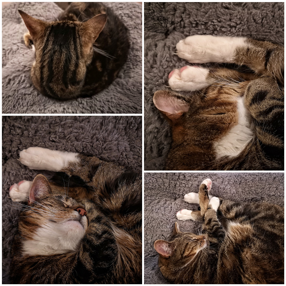 Still being squashed | HelenJG | Blipfoto
