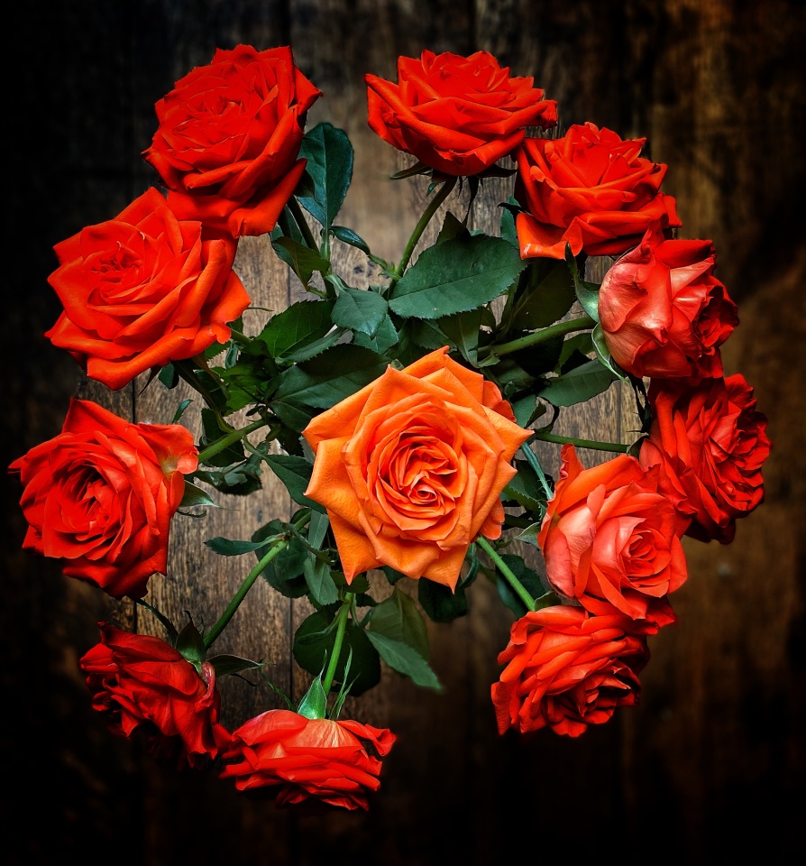 Ring-a-ring of roses | Xtoffdav | Blipfoto