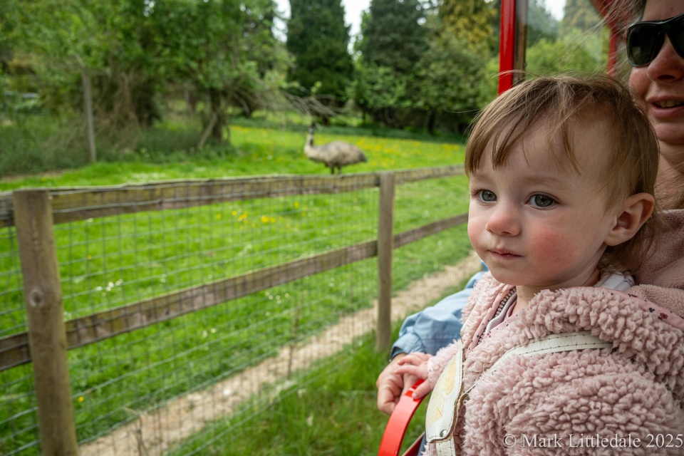 Day out with Elsie. | MarkLittledale | Blipfoto