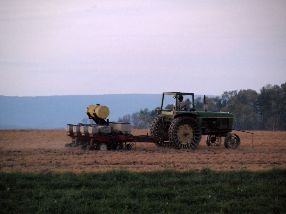 Old-fashioned | Cider12 | Blipfoto