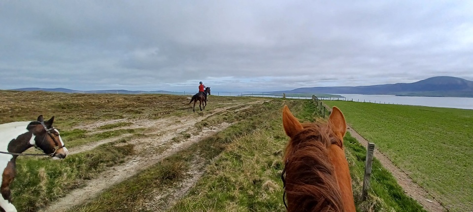 Chasing Thunder (Day 3295) | PorridgeWog | Blipfoto