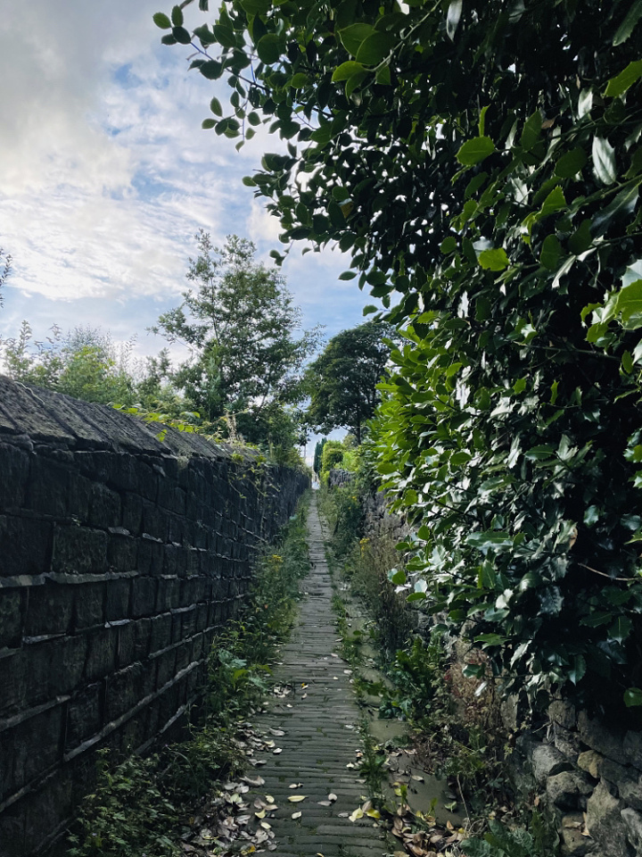 Ginnel of the week | ShanWilliams | Blipfoto