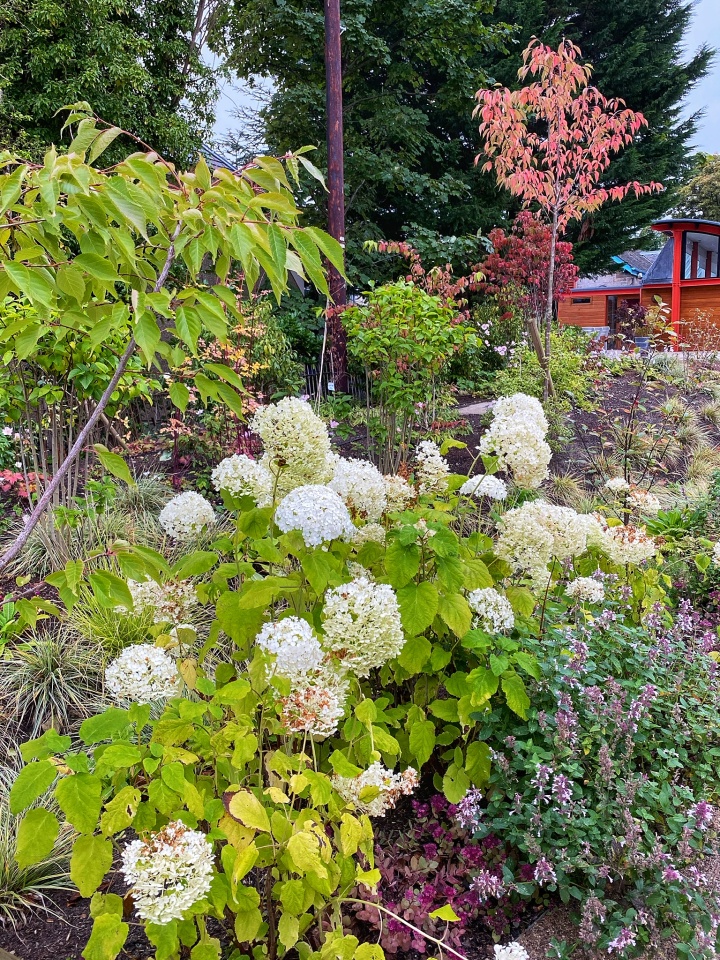 The Garden at Maggie’s Edinburgh | LadyFindhorn | Blipfoto
