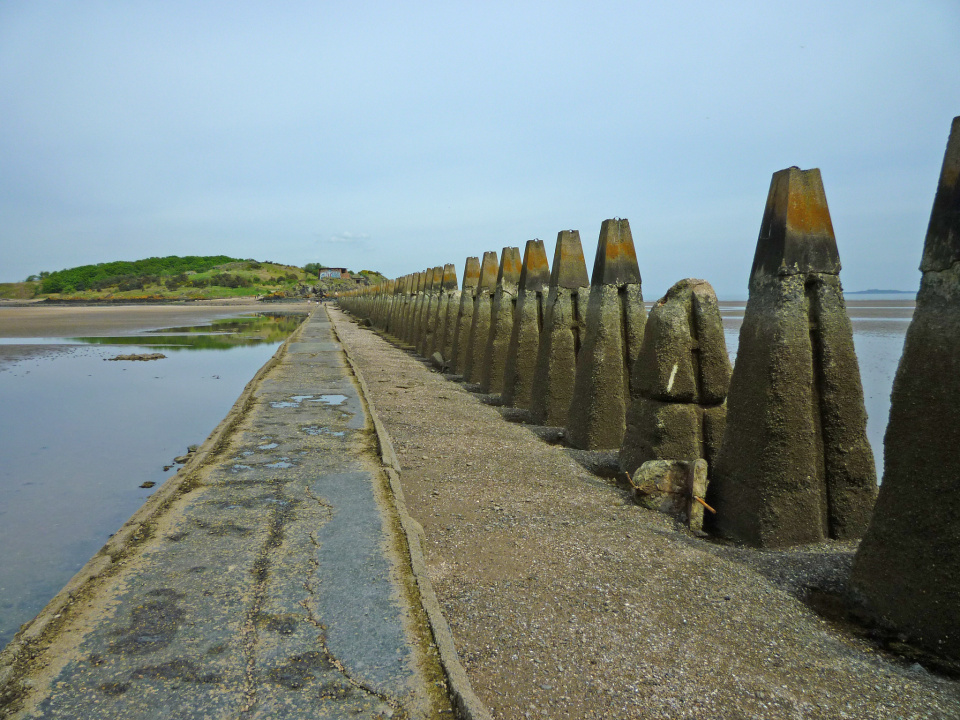 Just to the west of... | Pleach | Blipfoto