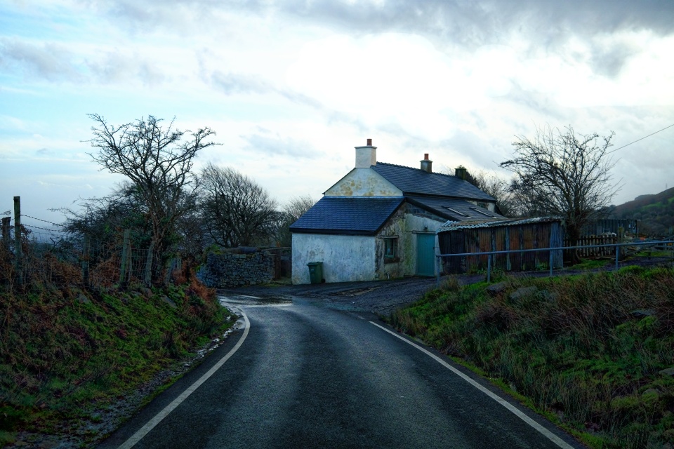 The Common | BobsBlips | Blipfoto