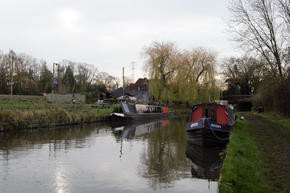 A bleak day | ladyluck | Blipfoto