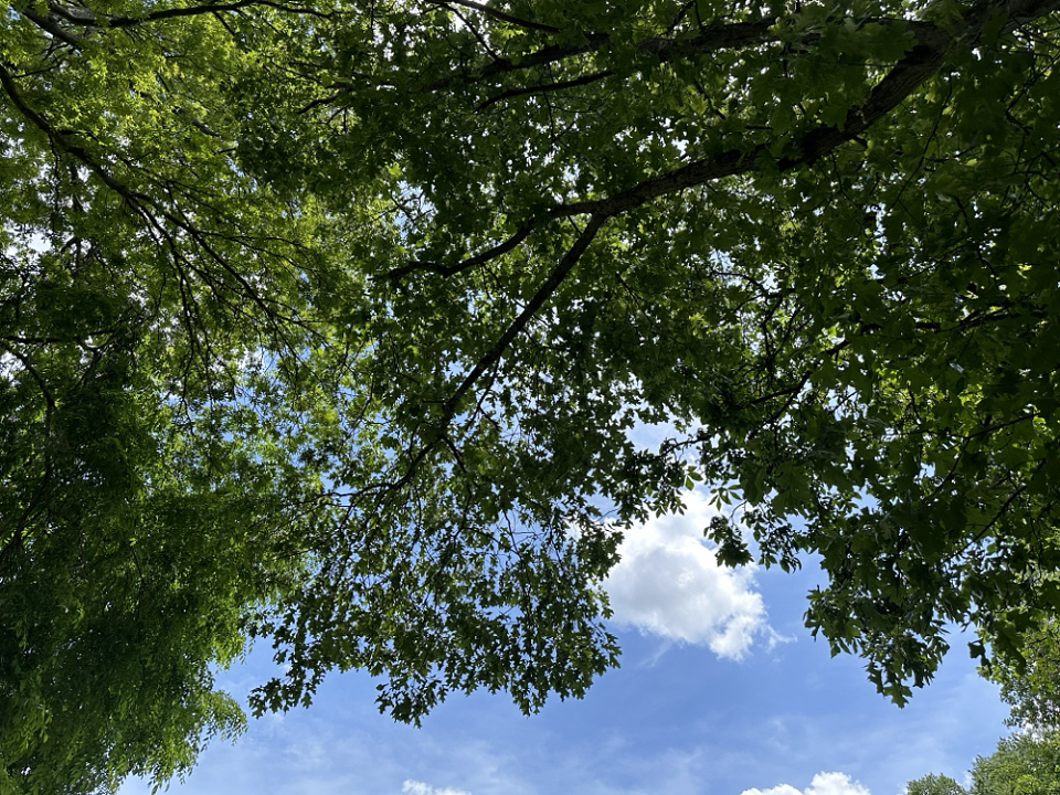 Cloud Muscles | scottrhale | Blipfoto