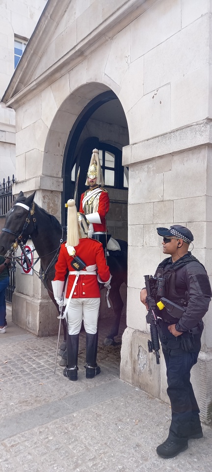 Guarding the Guards | StephenF | Blipfoto