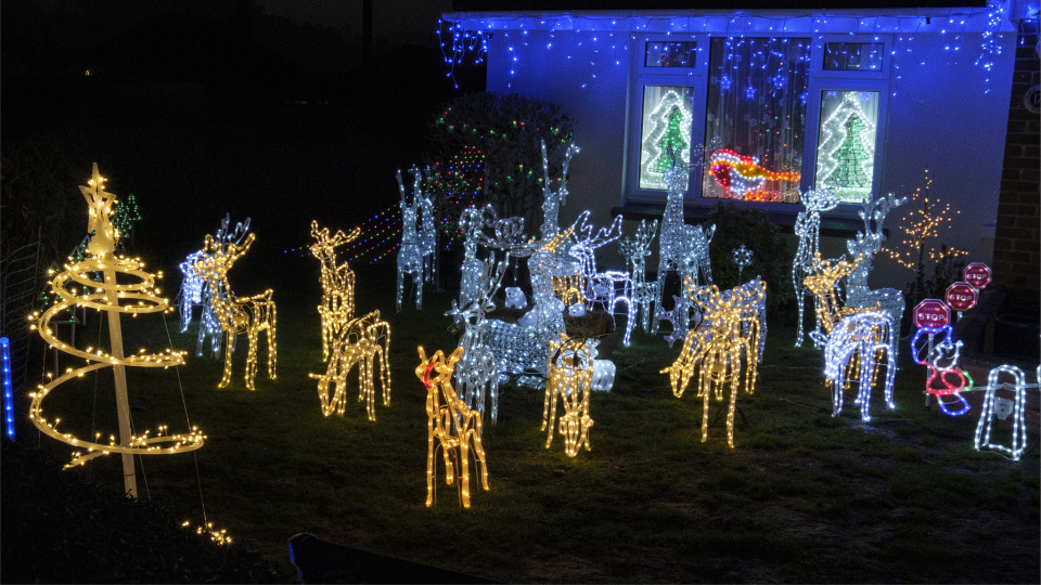 Christmas Lights | Terrifo | Blipfoto