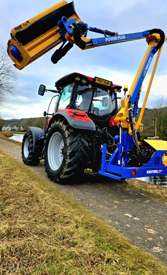 The Gobbler | snapper | Blipfoto