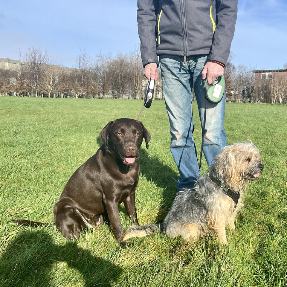 Besties | Romay | Blipfoto